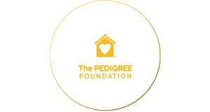 NorCal Bulldog Rescue | Help Us Rescue English Bulldogs.